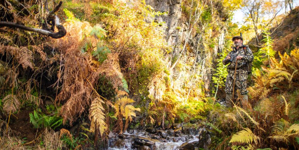 Mike Robinson Chef | Mike Robinson Chef