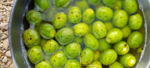 Pickled Walnuts | Mike Robinson Chef