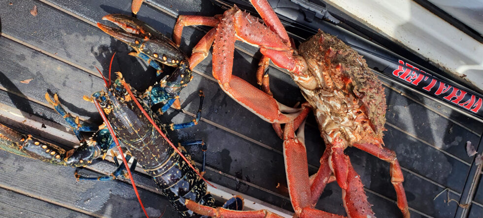 Cornish Spider Crab & Pollock | Mike Robinson Chef