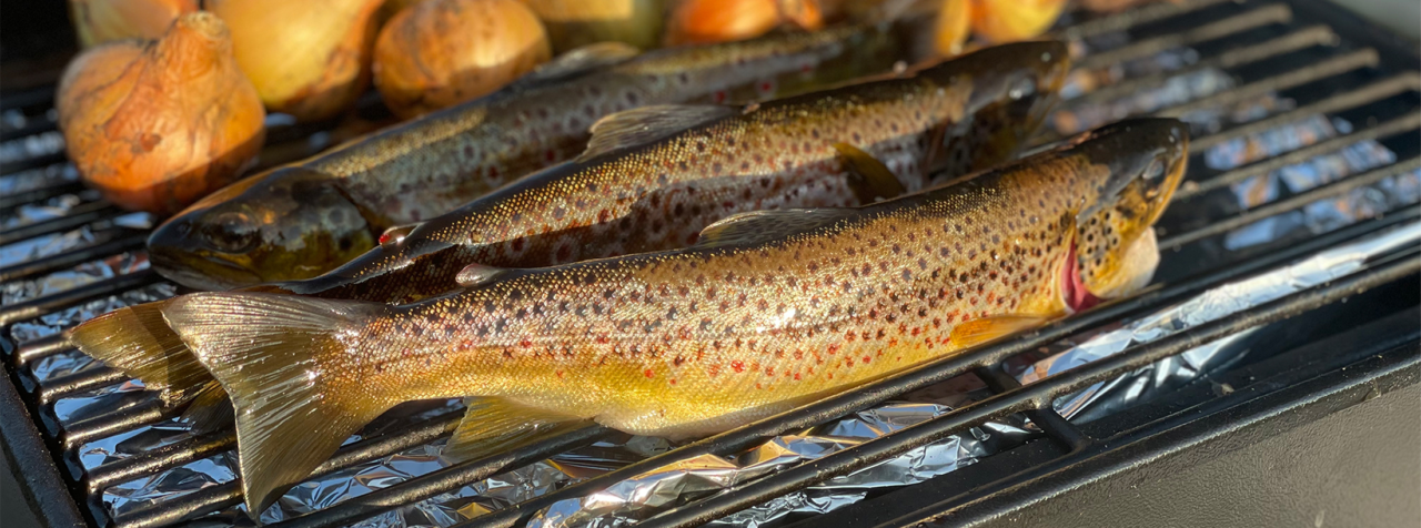 Recipes | Mike Robinson Chef