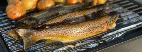 Recipes | Mike Robinson Chef